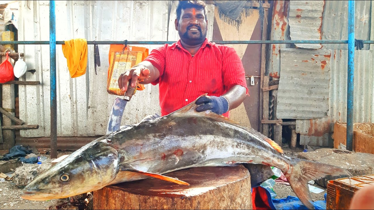 22KG $120 KADAL VIRAAL MEEN || KNOCKOUT CUTTING SKILLS - YouTube