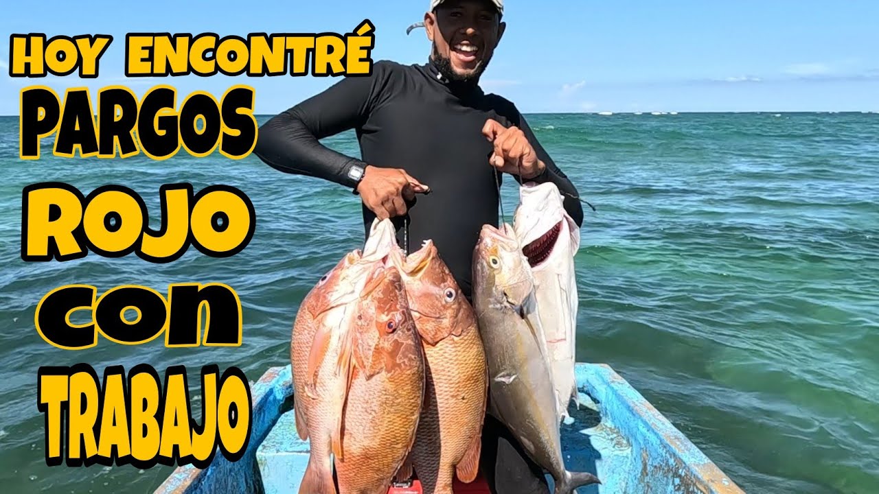 HOY PESQUE ALGUNOS PARGO ROJOS CON MUCHO TRABAJO Y PUDE CONSEGUIR DOS ...