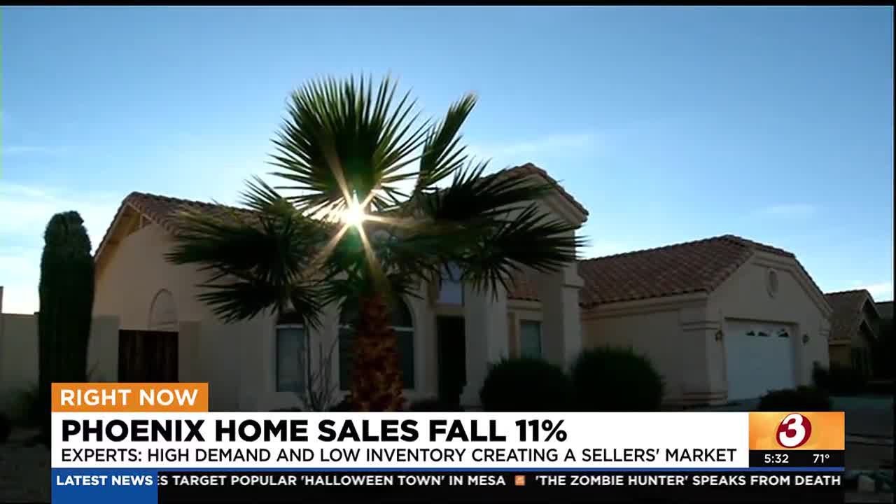 Home sales fall about 11% in Phoenix, but demand is still high - YouTube