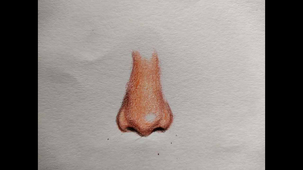 Tutorial | How to draw a realistic nose with colored pencil - step by ...