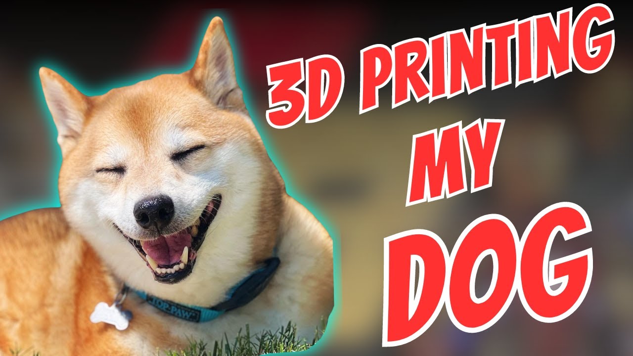 3D Scanning and Printing My Dog with the 3DMakerPro Mole Scanner - YouTube