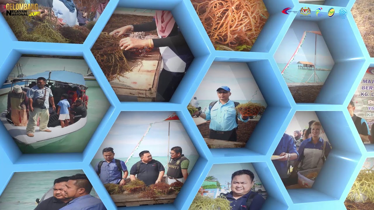 Video montaj sempena Program Town Hall - YouTube