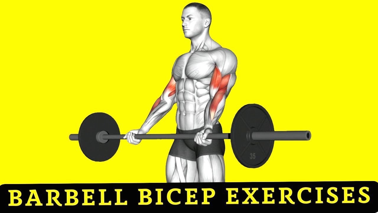 7 Best Barbell Bicep Exercises - YouTube