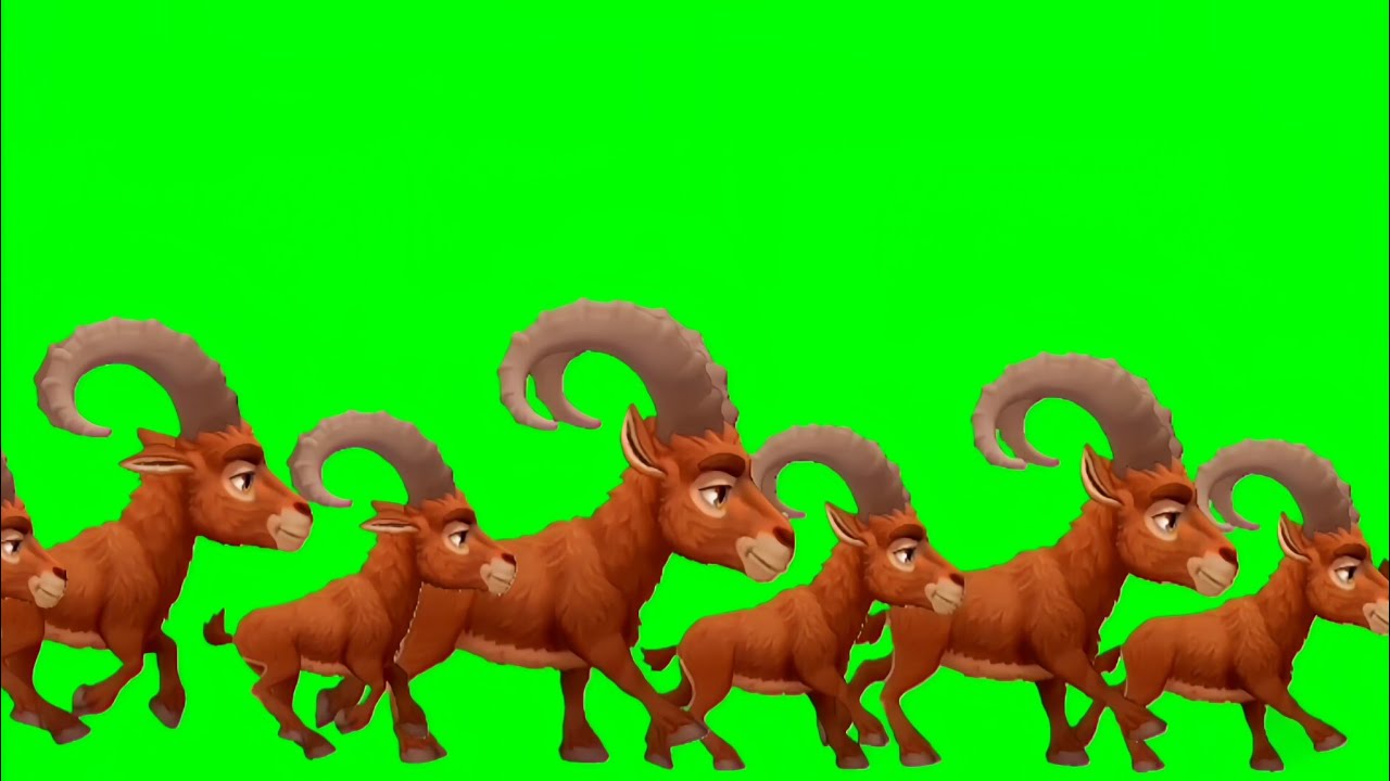 cartoon character and animals stampede compilation‼️ - YouTube