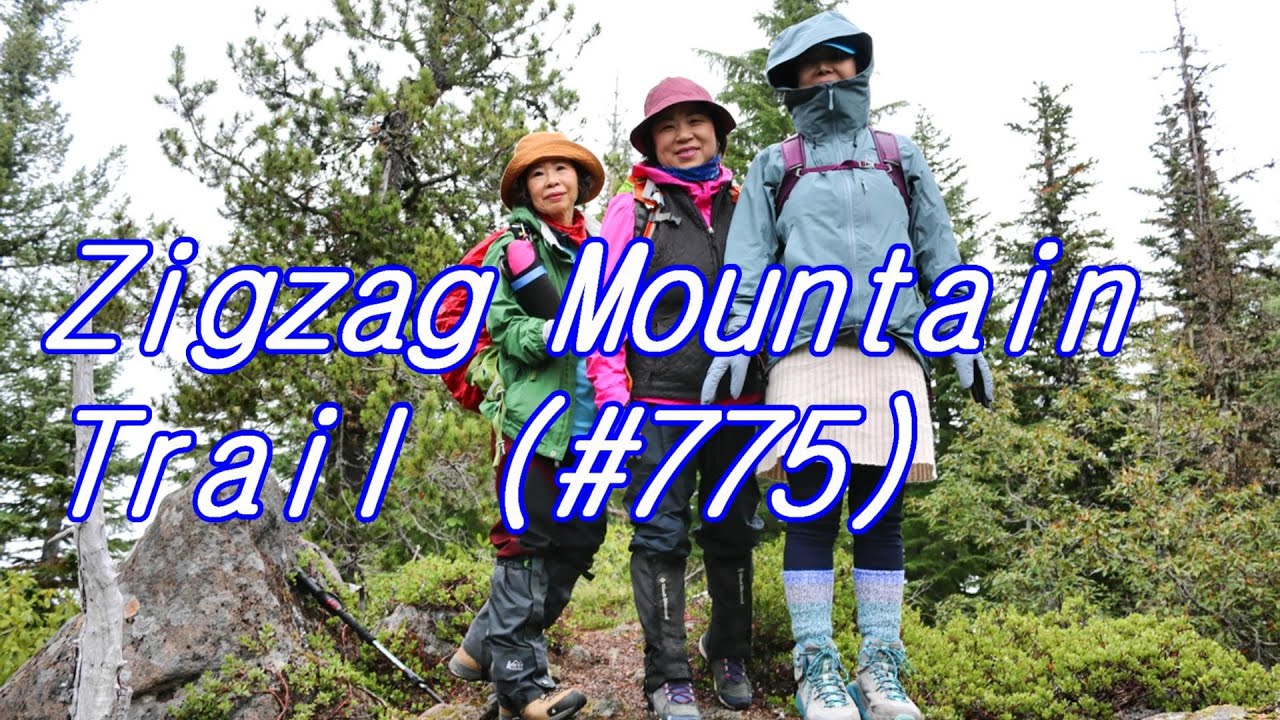 Zigzag Mountain Trail (#775) - YouTube