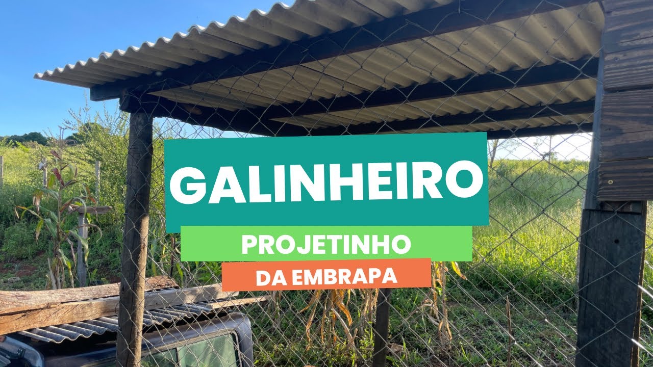 Começamos o nosso galinheiro baseado no projetinho da embrapa! - YouTube