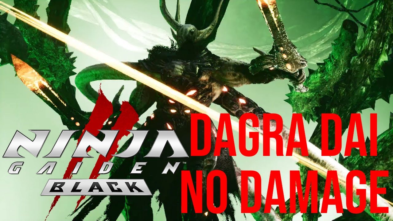 Ninja Gaiden II Black - Dagra Dai NO DAMAGE - Master Ninja - YouTube