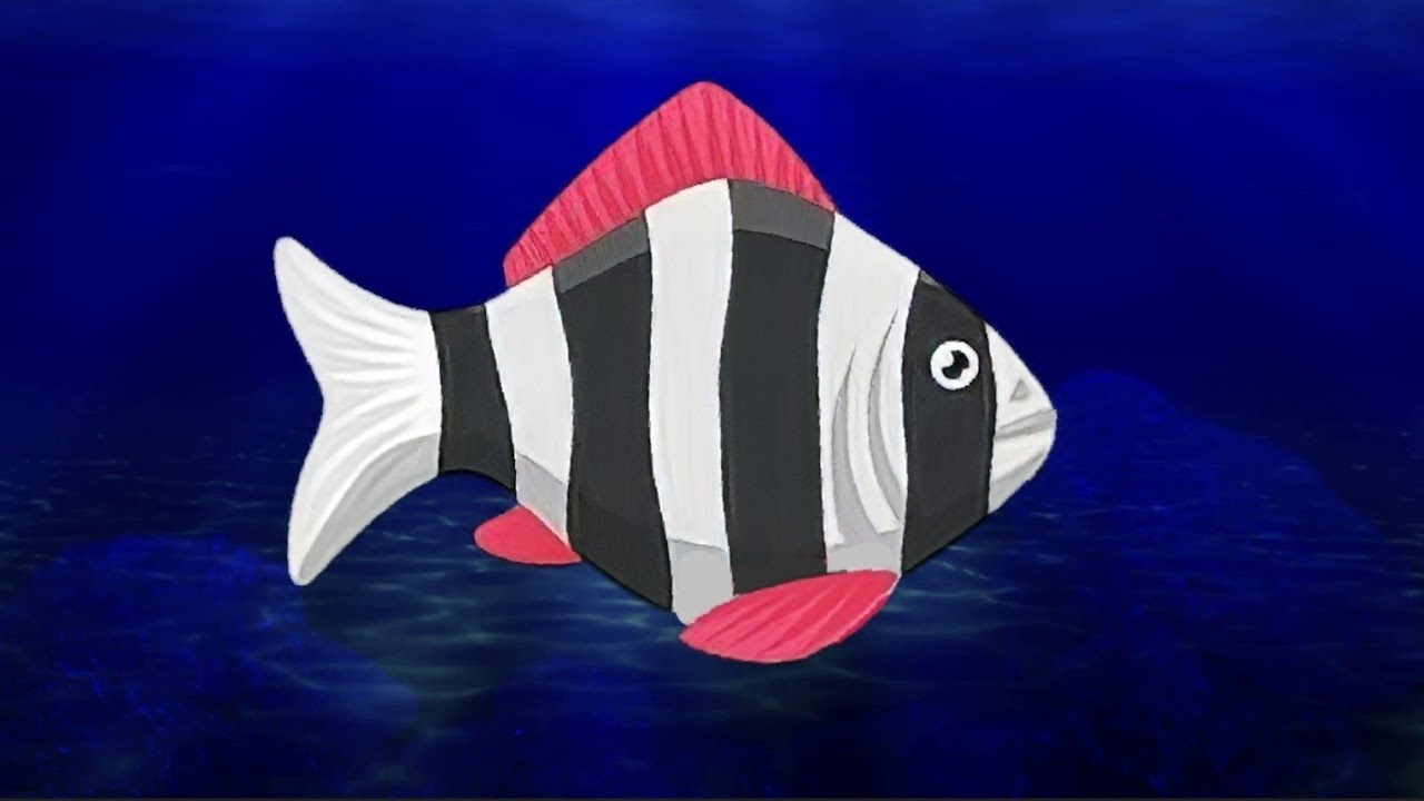 Fish Animation |Fishes| - YouTube