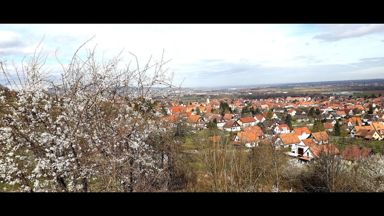 Le Tour du Bischenberg 2020 - YouTube