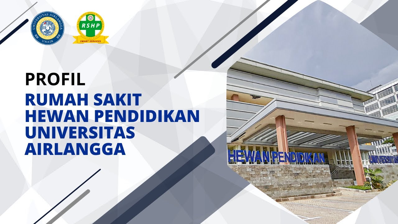 Profil RSHP - YouTube