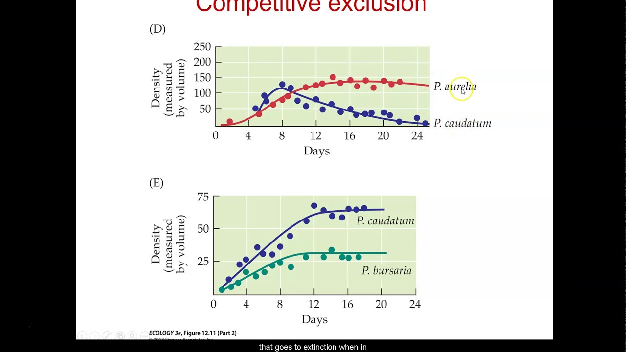 Competitive exclusion and competition continuum - YouTube