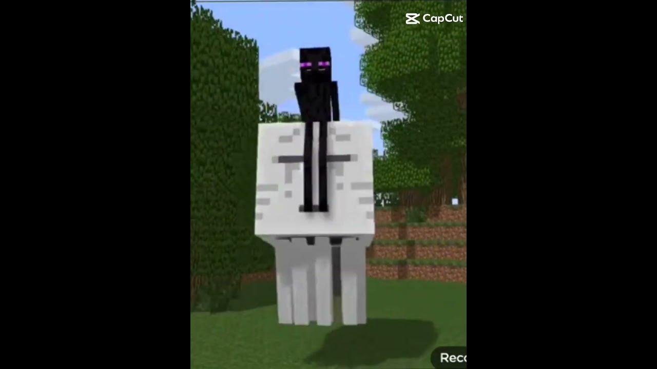 Ghast In Real Life Vs Ghast Mineschool Viral Youtube