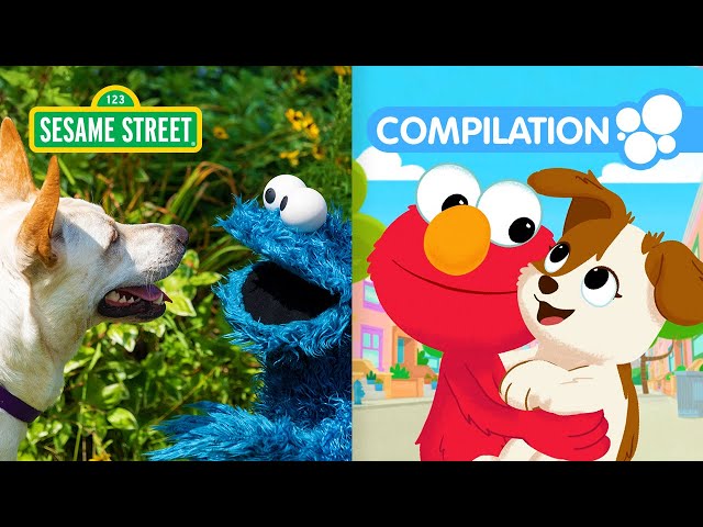Sesame Street: Elmo's Pets Compilation | 90 Minutes - Videos For Kids
