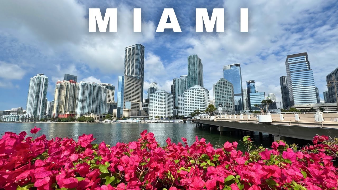Miami Walking Tour: 1 Hour Through Brickell, Miami River & City Views ...