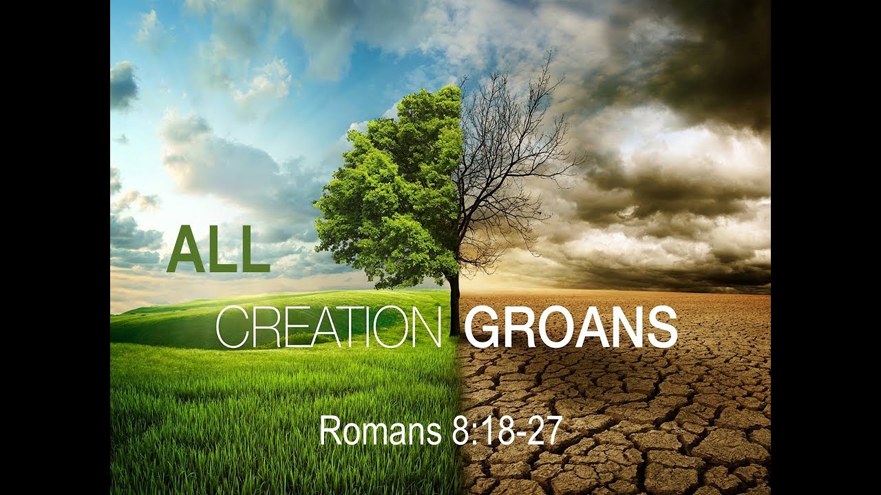 "All Creation Groans Until Glory" - December 17, 2023 - YouTube