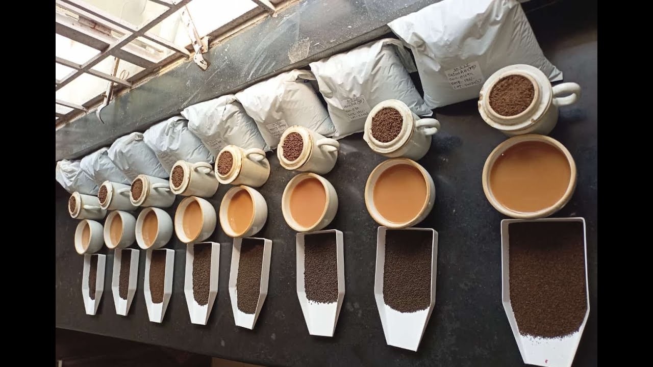 NEW GODOWN STOCK - 20/03/2025 - PART 1 - #tea #teabusiness # ...