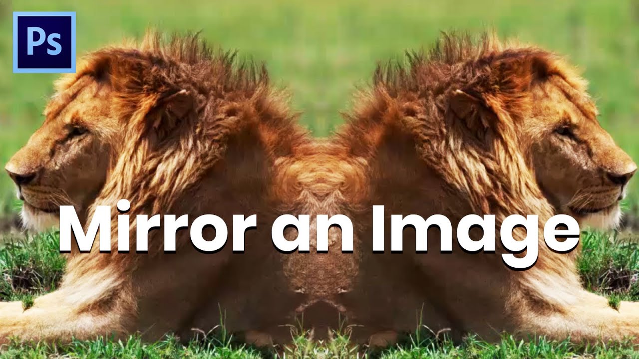 How To Mirror Any Image In Photoshop CC Flip Mirror Image In how-to-mirror-any-image-in-photoshop-cc-flip-mirror-image-in