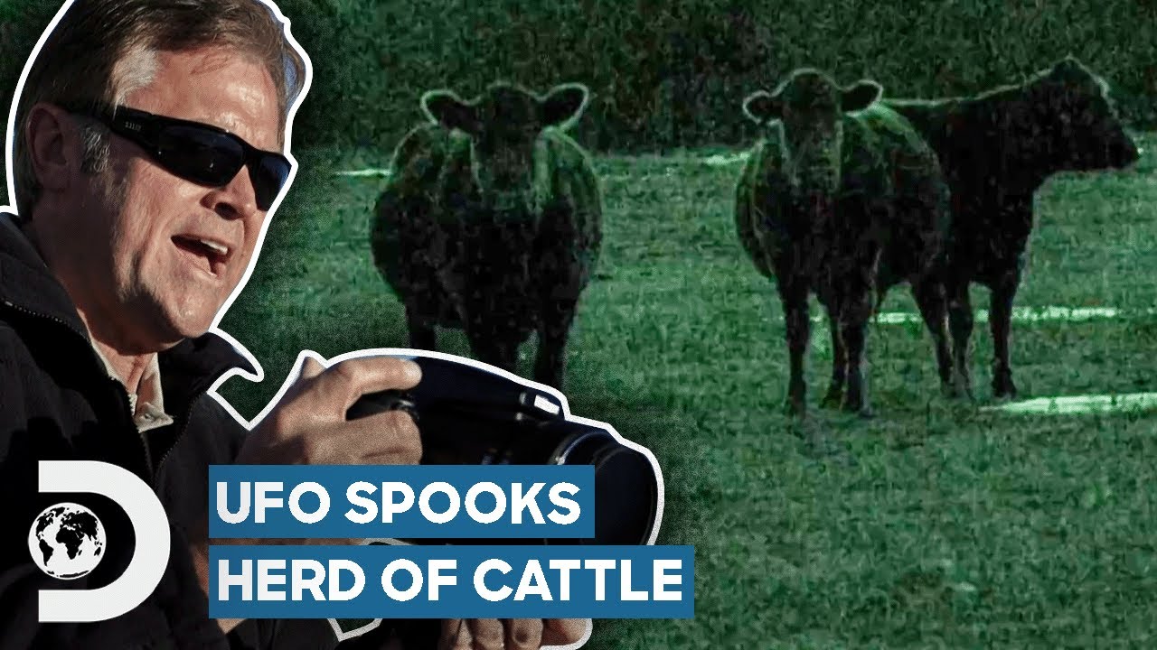UFOs Caught Scaring Cattle And Causing Car Crashes By Rural River ...