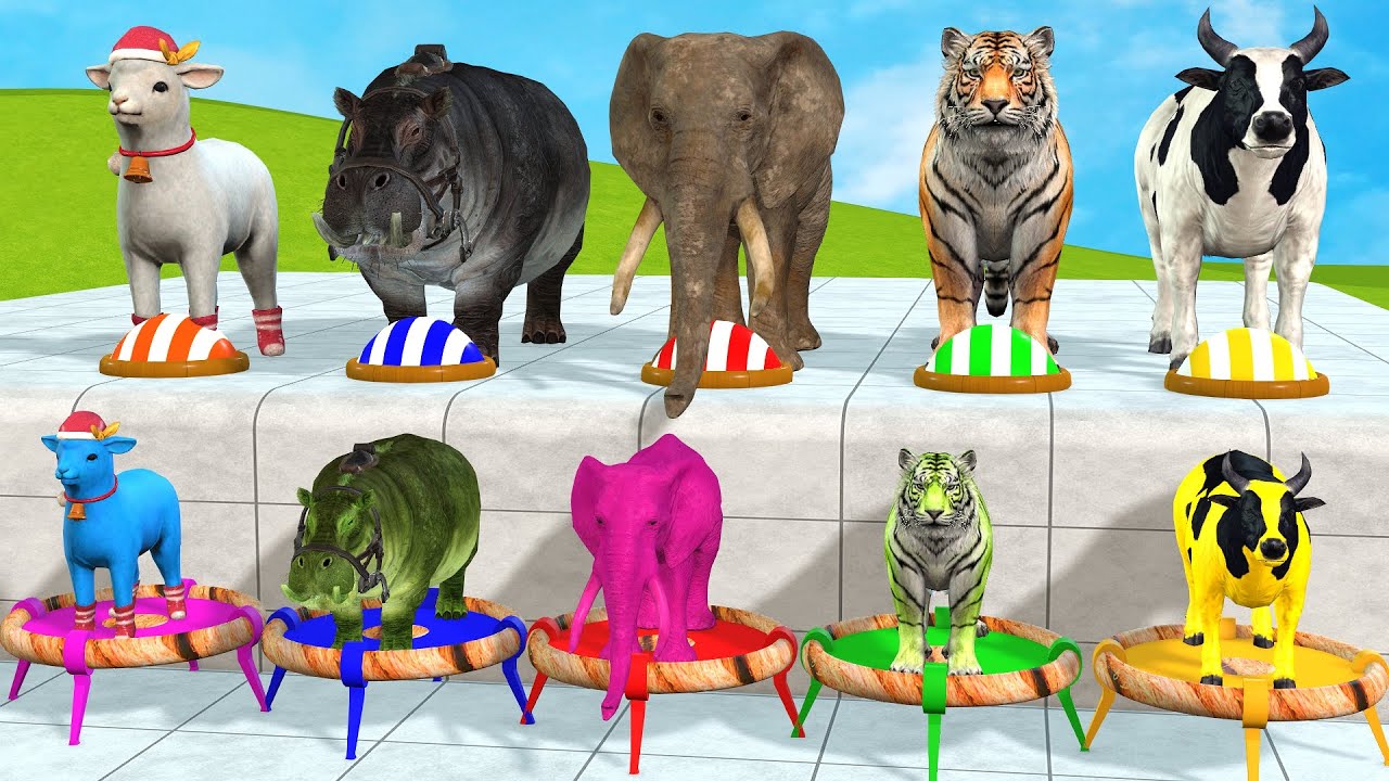 Long Slide Game With Elephant Gorilla Buffalo Hippopotamus Tiger - 3d ...