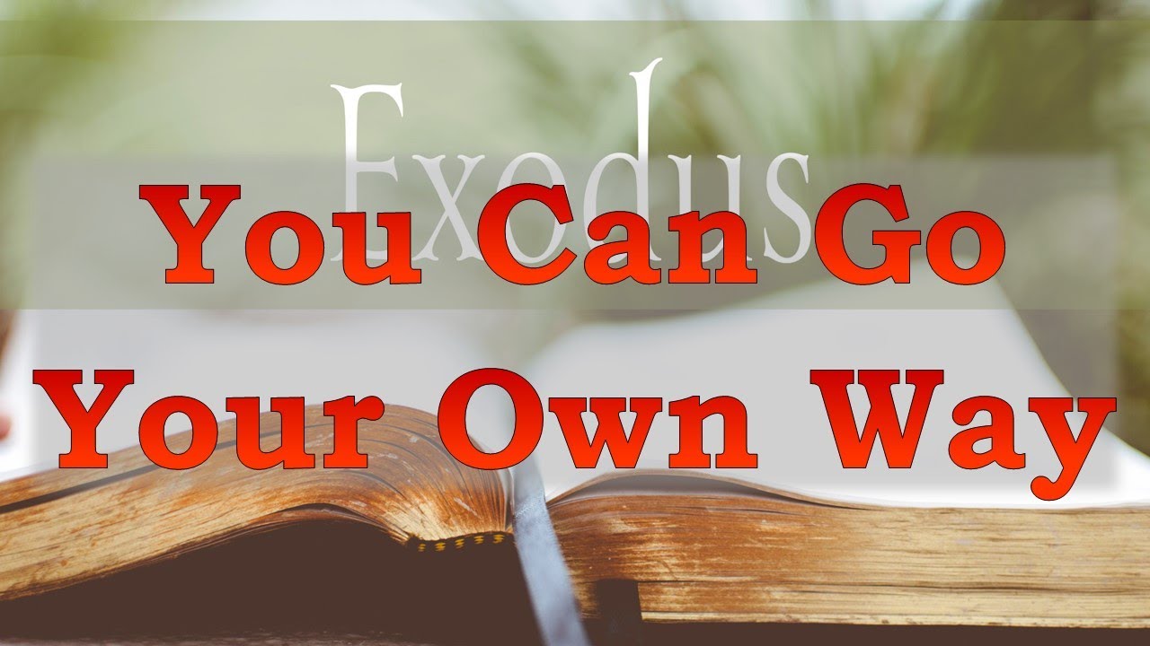 "You Can Go Your Own Way" - YouTube