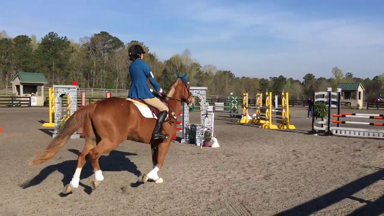 Training Level Stadium Round Poplar Place Farm - YouTube