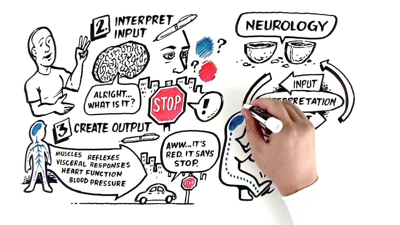 Neurology By Dbzheir On Team Sherzai The NEURO Plan — Enrich