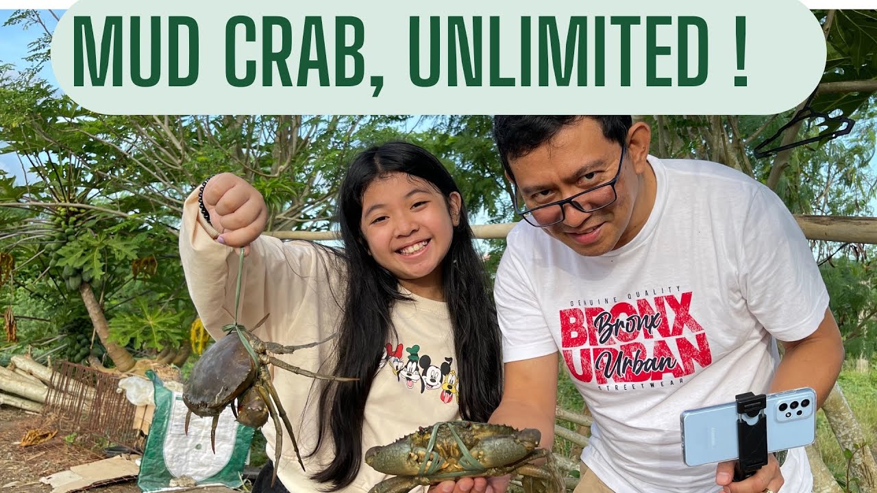 Let's talk about Mud Farming (Alimango) #landbanking #opportunity # ...