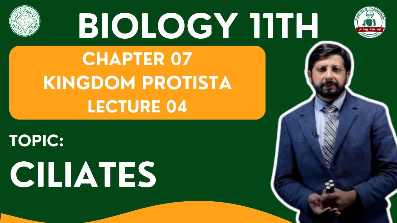 Ciliates | GRADE 11 BIOLOGY | LECTURE 4 | KINGDOM PROTISTA | - YouTube