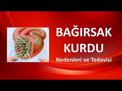 BAĞIRSAK KURDU Nedenleri ve Tedavisi