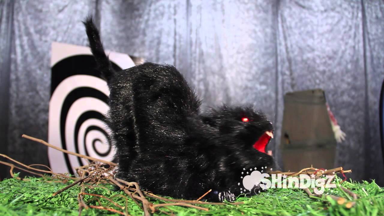 Sound Activated Animated Cat - Shindigz Halloween Decorations - YouTube
