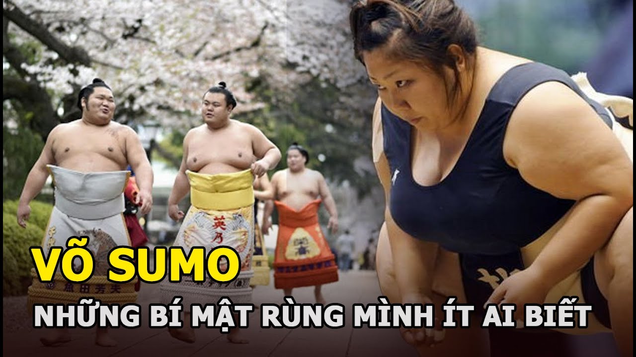 Võ Sumo - Môn thể thao “quốc hồn” của Nhật Bản và những bí mật rùng ...