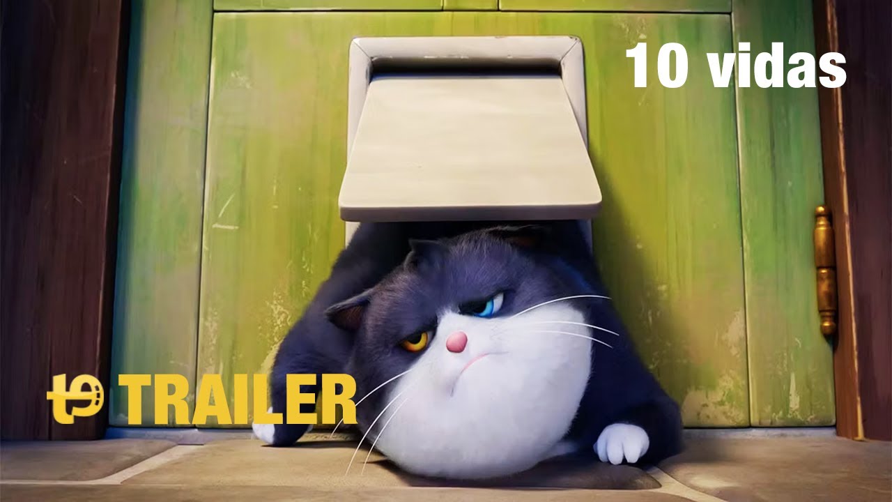 10 vidas - Trailer español - YouTube