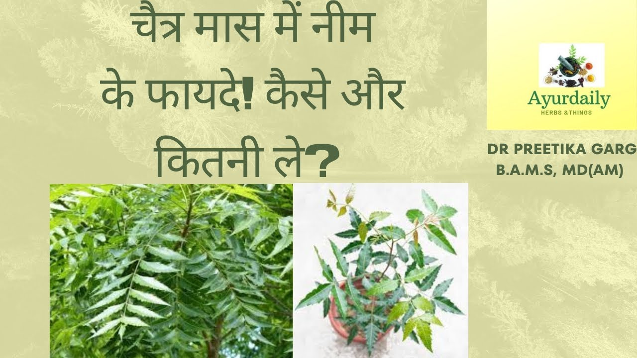 health benefits of neem tree - YouTube