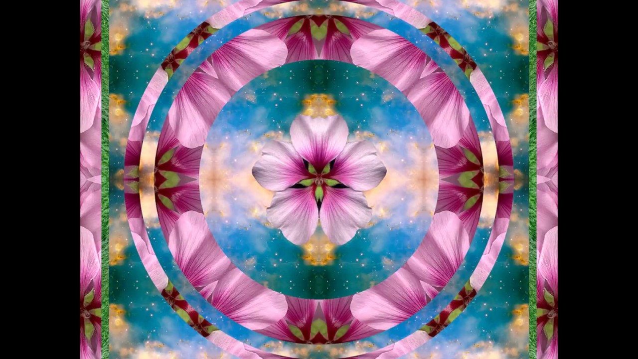 Awaken & Expand Your Highest Divine Self ! - YouTube