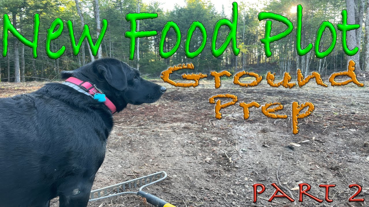 New Food Plot Ground Prep Part 2 - YouTube