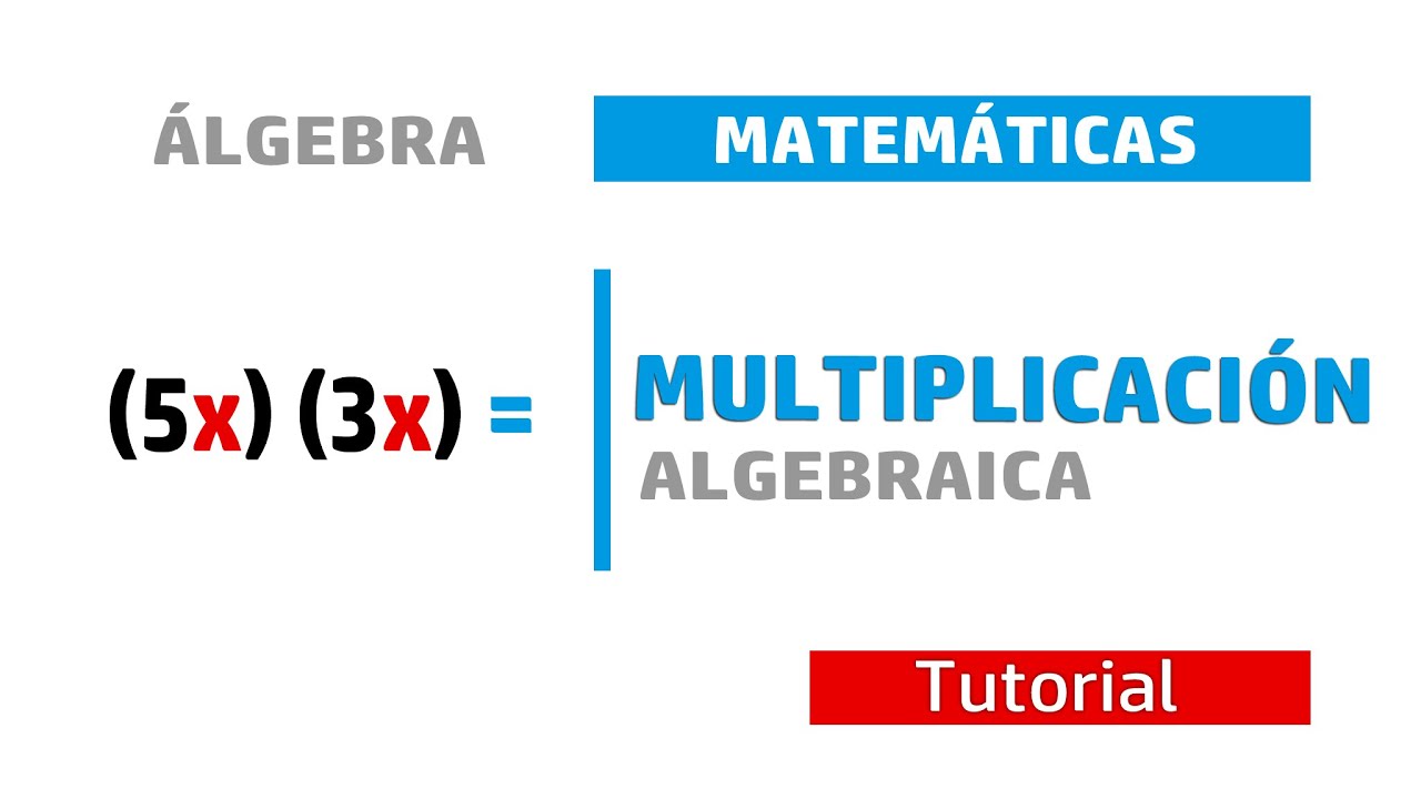 Multiplicación y división algebraica. Parte 1. (Tutorial). - YouTube