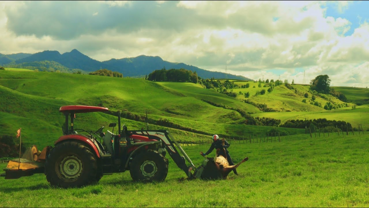 #2 A Typical Day on a Dairy Farm in Rural New Zealand|Fence, Tractor ...