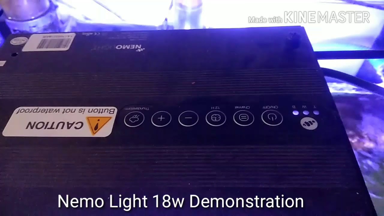 Nemolight 18w marine version - YouTube