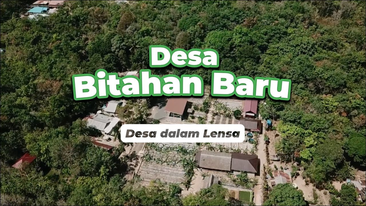 Desa Dalam Lensa : Potret Kehidupan Desa Bitahan Baru - YouTube