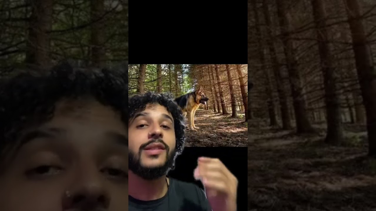 “Cachorro CURURU”? Entenda PORQUÊ ele é assim! | Biomesquita - YouTube