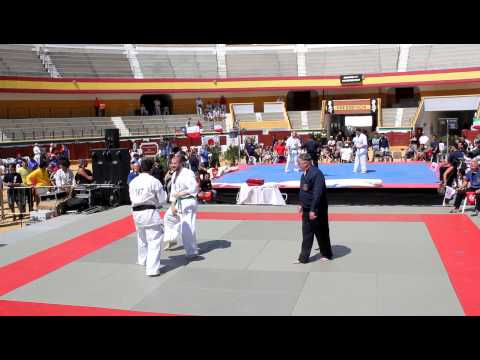 haydar kahraman kyokuşhin karate ispanya dünya kupası 2010
