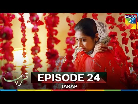 Tarap Episode 24