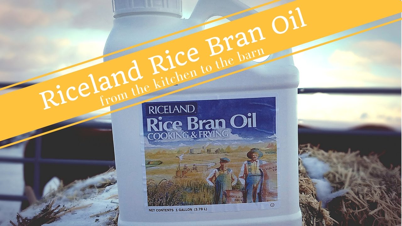 Riceland Rice Bran Oil - From the kitchen to the barn (Sponsored) - YouTube