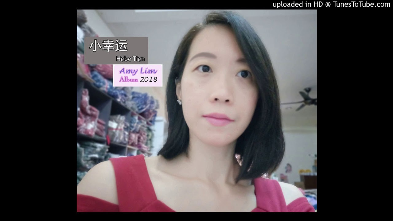 Amy Lim 爱咪 【小幸运 A Little Happiness】 (田馥甄 Hebe Tien) - YouTube