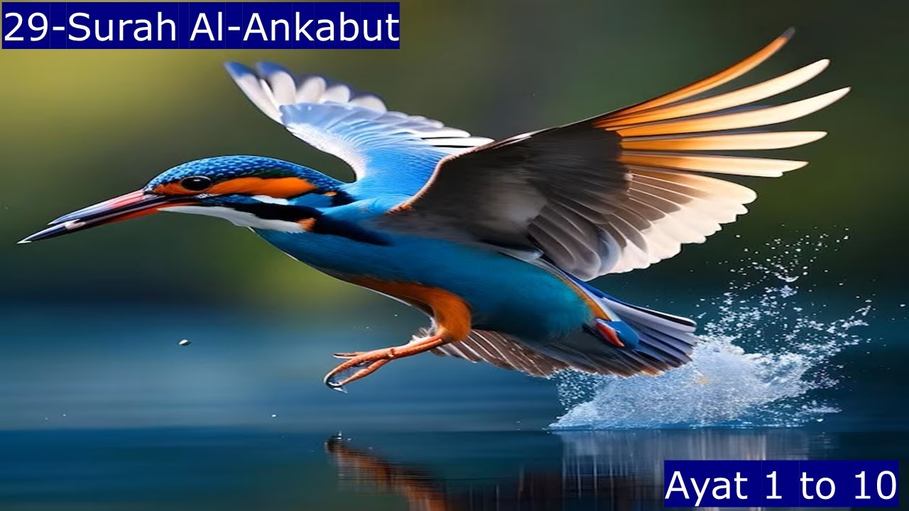 Surat_Al Ankabut full || Kullu Nafsin Zaika tul Maut || Tilawat Quran ...