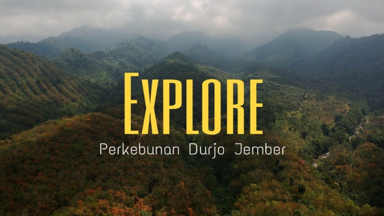 Explore Lereng Gunung Argopuro Jember Part II Cinematic Drone - YouTube