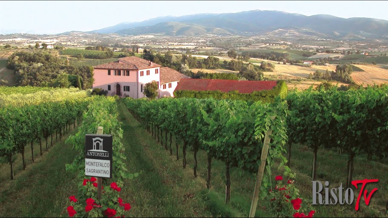 Antonelli San Marco - Montefalco (Pg) - YouTube