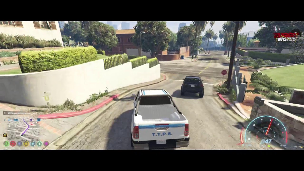 W STREAMER | ZUGGY WORLD - YouTube