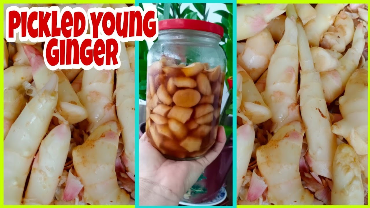 How to make Pickled Young Ginger/Taiwanese Recipe - YouTube