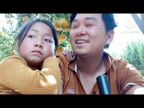 27/12/2022/. hnub no peb cov niam txiv tub rov mu noj txiv ຫມາກງ້ຽ os qab kawg li nawb - YouTube